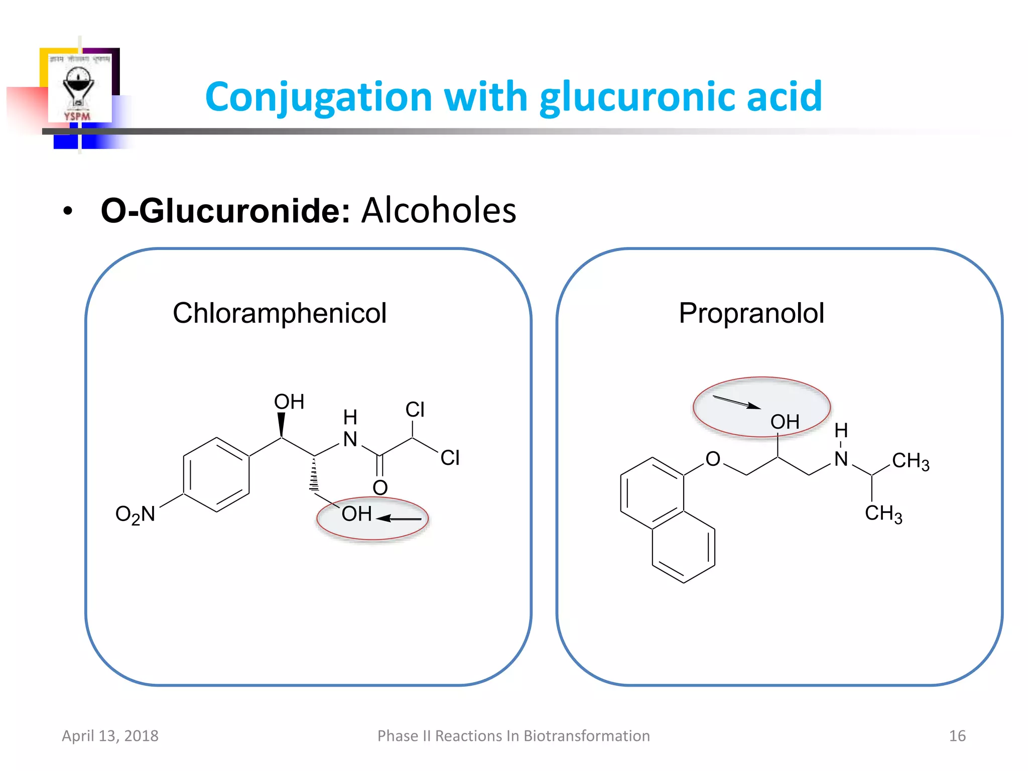 Metabolism II | PPTX