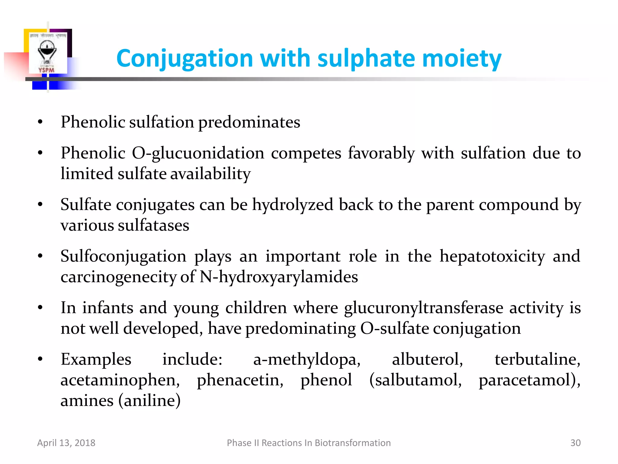 Metabolism II | PPTX