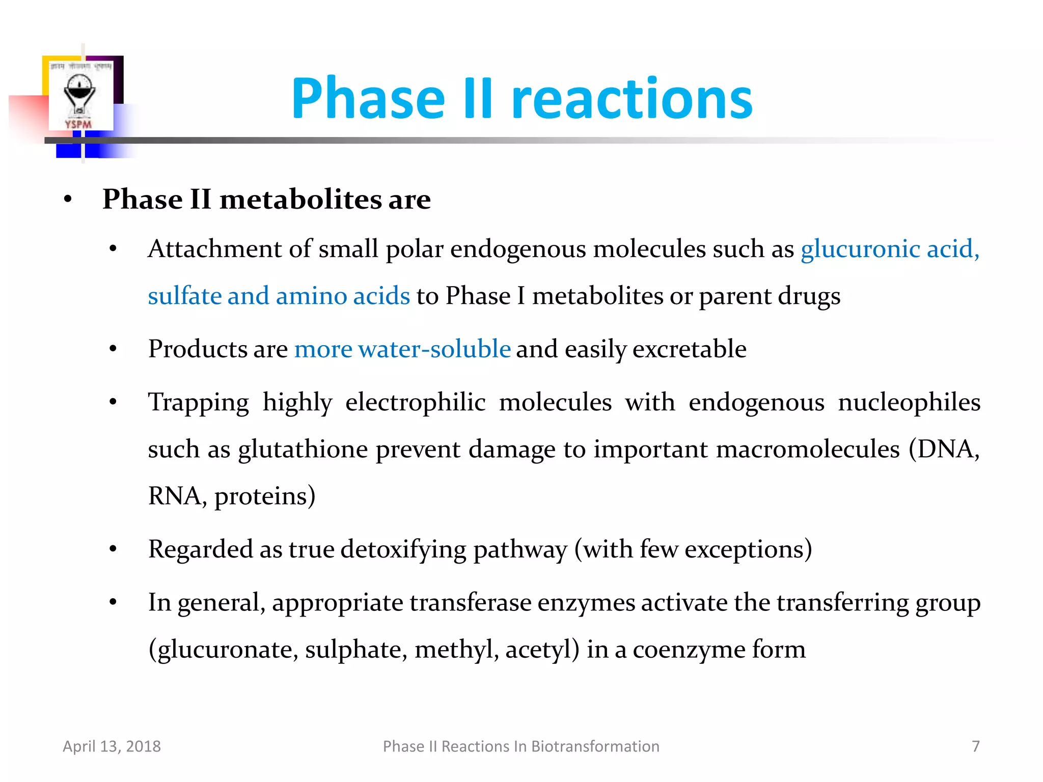 Metabolism II | PPTX