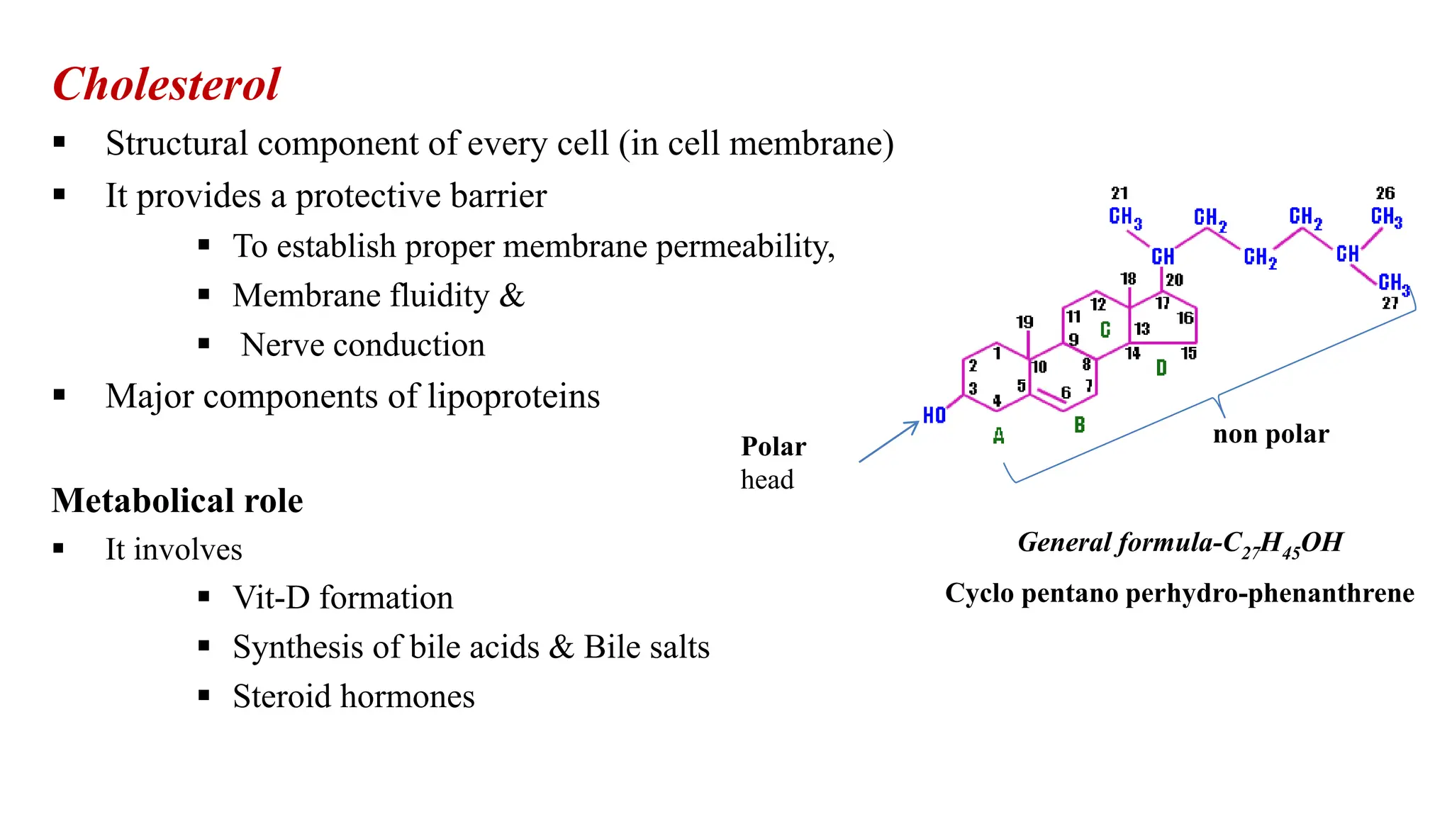 Metabolism , Metabolic Fate& disorders of cholesterol.pptx