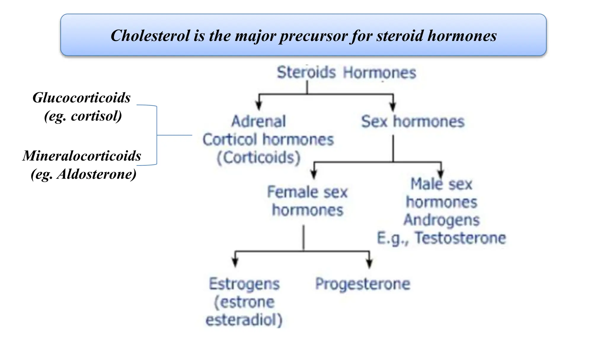 Metabolism , Metabolic Fate& disorders of cholesterol.pptx