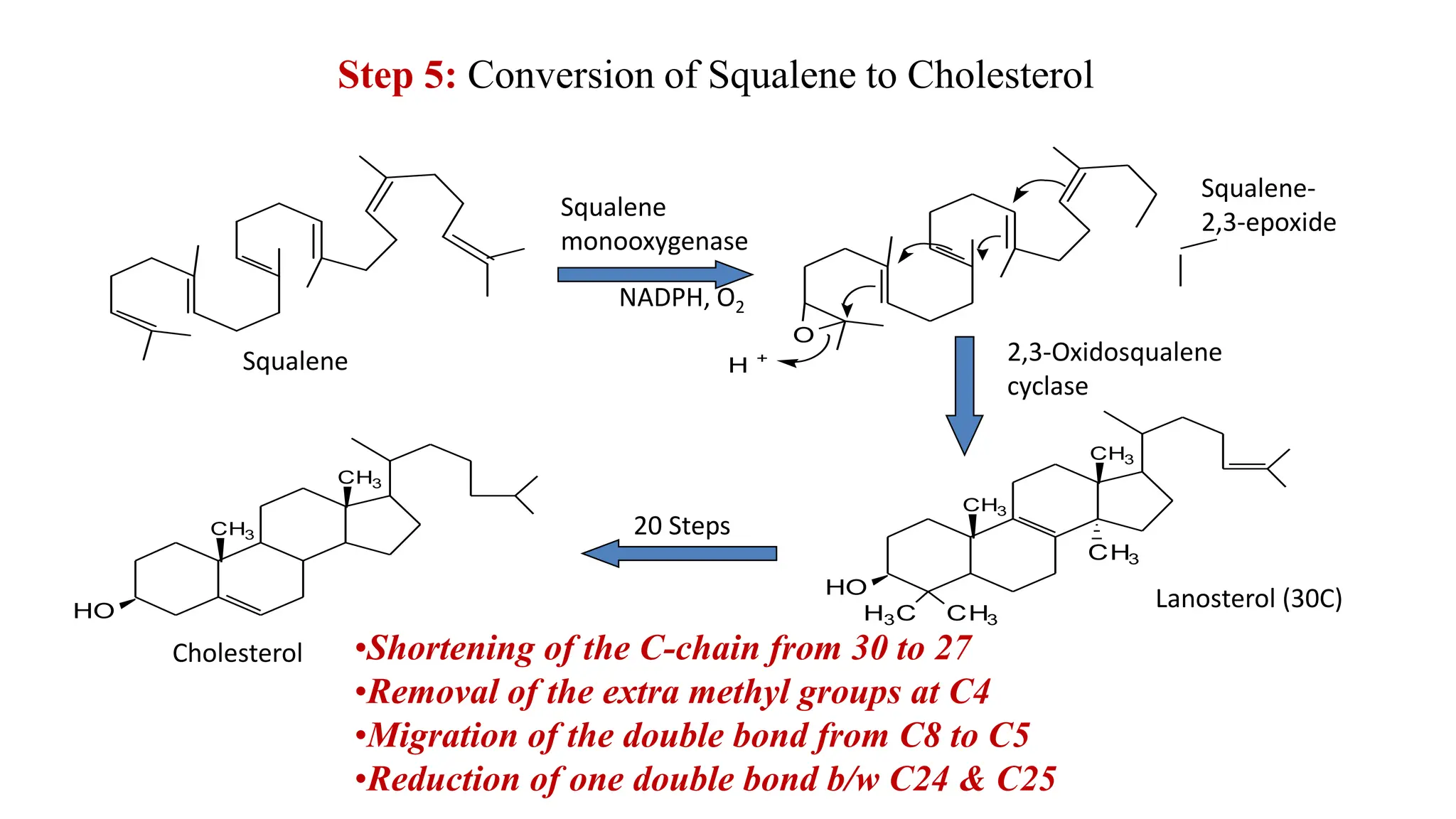 Metabolism , Metabolic Fate& disorders of cholesterol.pptx