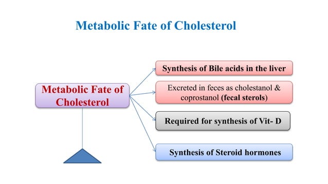 Metabolism , Metabolic Fate& disorders of cholesterol.pptx