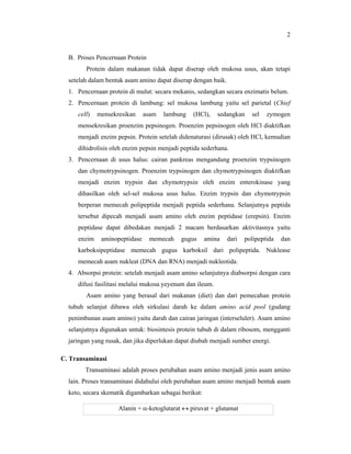 Metabolisme protein | PDF
