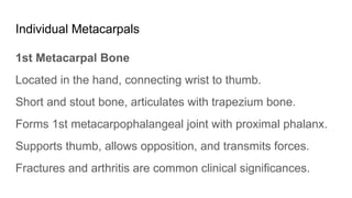 Metacarpal bones. pptx by _edara vasudha | PPTX
