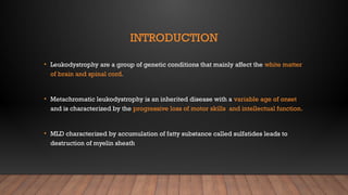 Comprehensive Overview of Metachromatic Leukodystrophy: Causes, Types ...