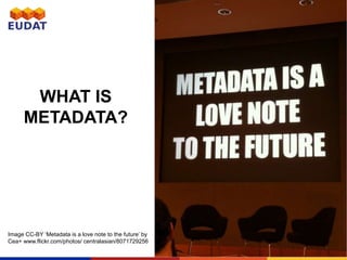 Introduction to Metadata | PPTX