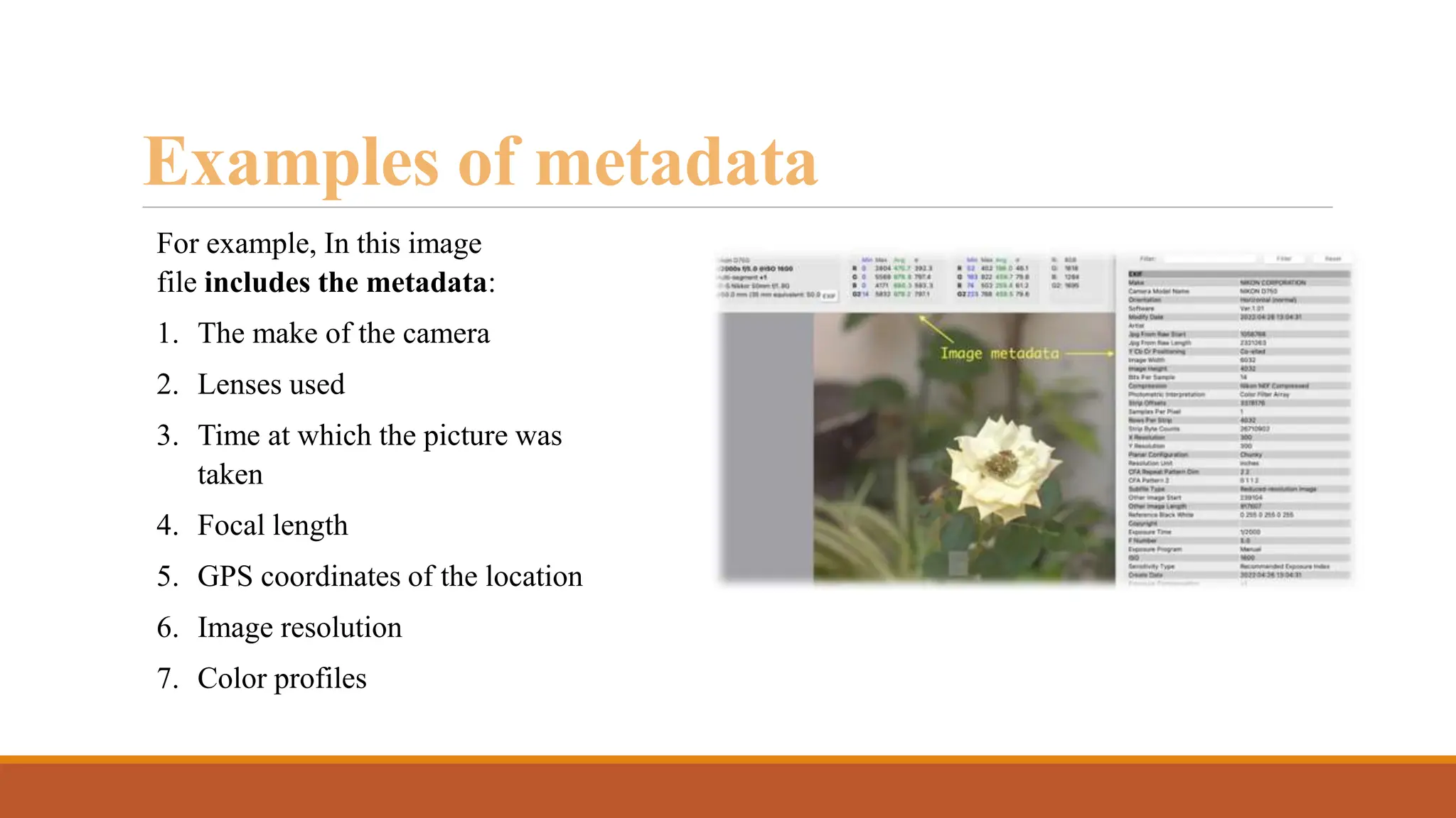 metadata And Its Types presentation.pptx
