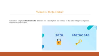 metadata And Its Types presentation.pptx