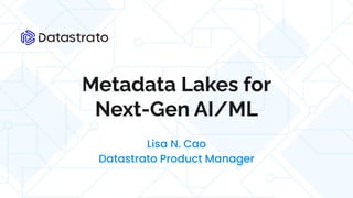 Metadata Lakes for Next-Gen AI/ML - Datastrato | PDF
