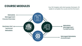Top Metadata Management Mini Course.pptx