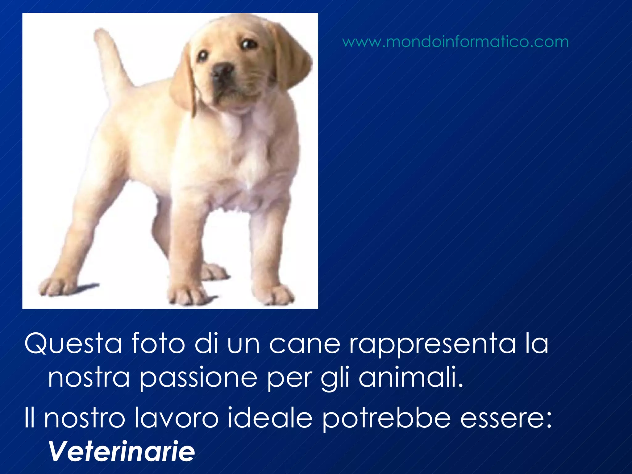 Metafore Per Il Futuro | PPT
