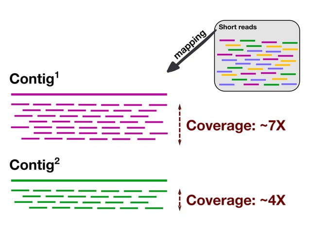 Intro to metagenomic binning | PDF | Genetics | Science