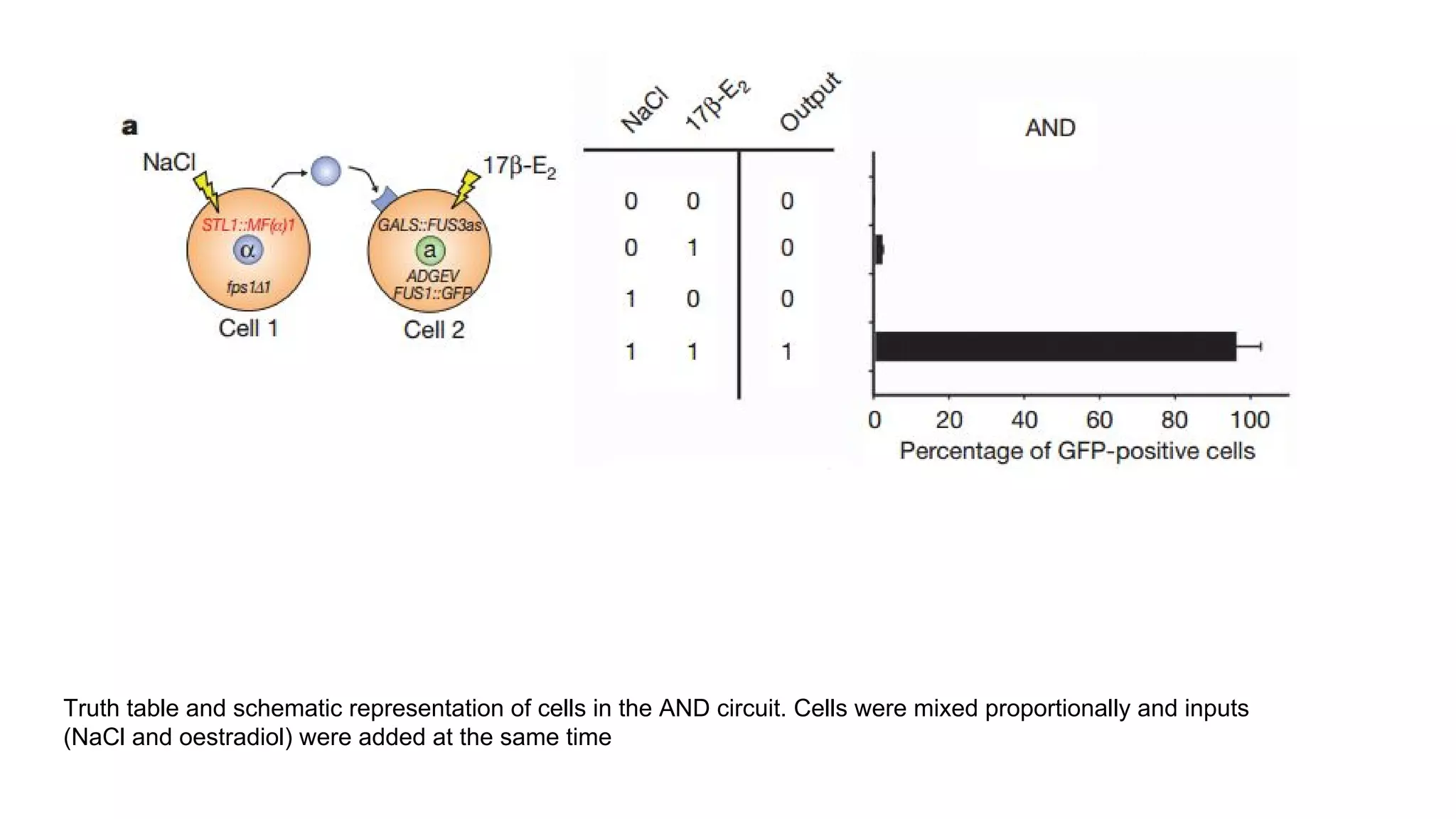 Synthetic Microbial Communities Microbial Consortia Engineering Pdf
