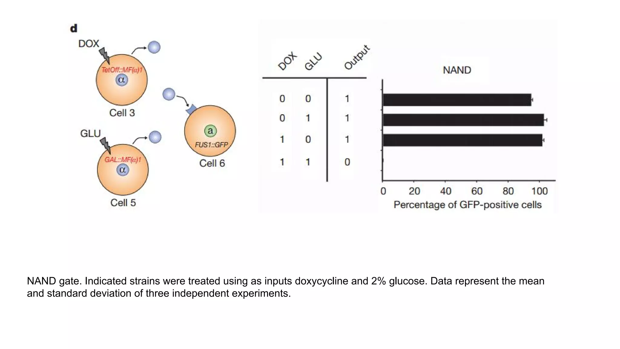 Synthetic Microbial Communities Microbial Consortia Engineering Pdf
