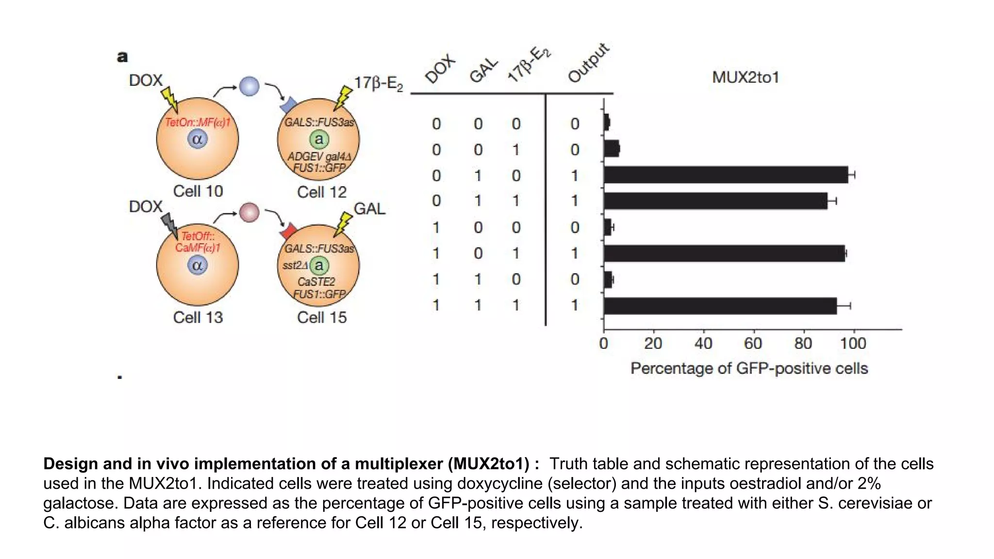 Synthetic Microbial Communities Microbial Consortia Engineering Pdf