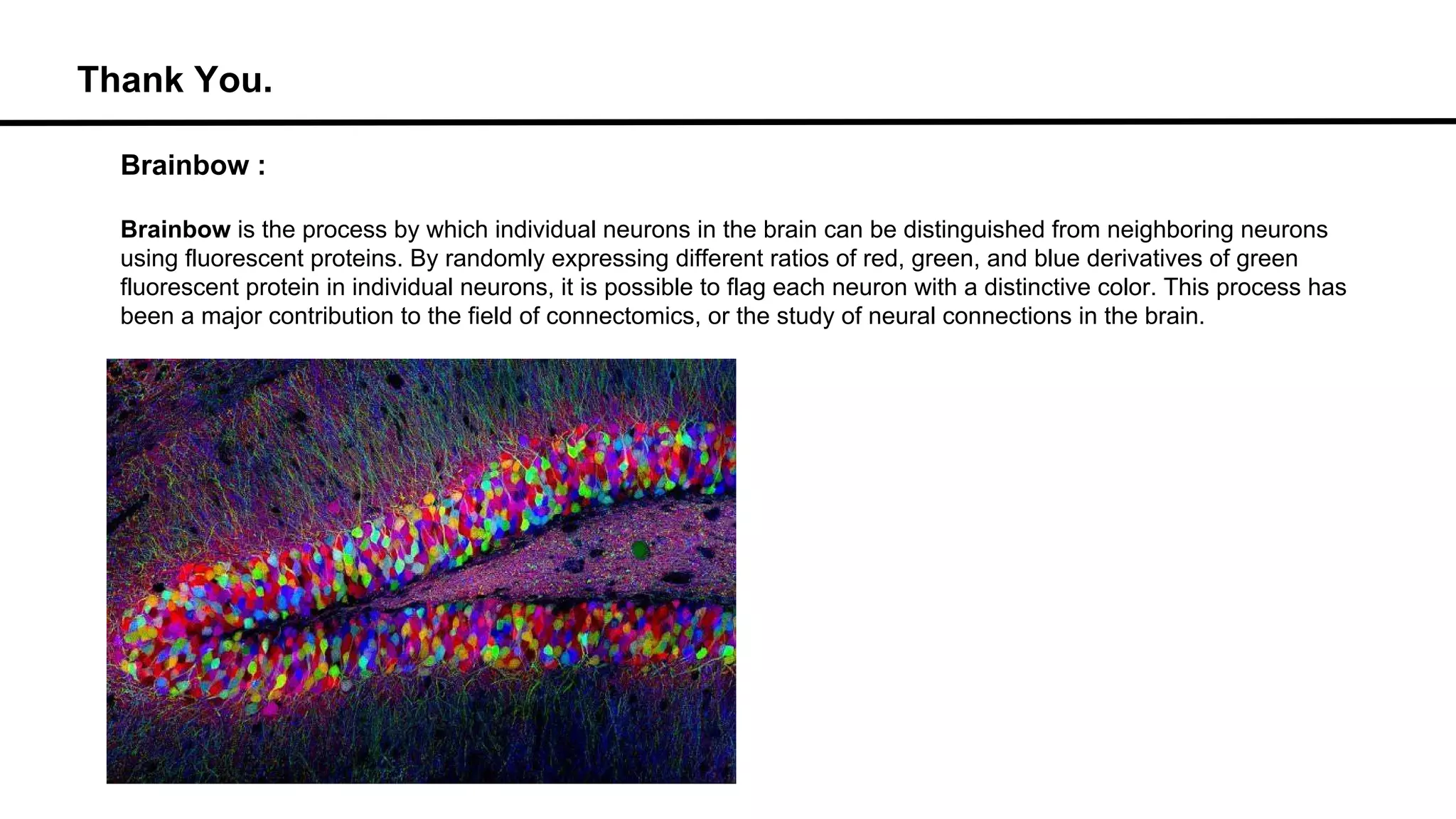 Synthetic microbial communities : Microbial consortia engineering | PDF