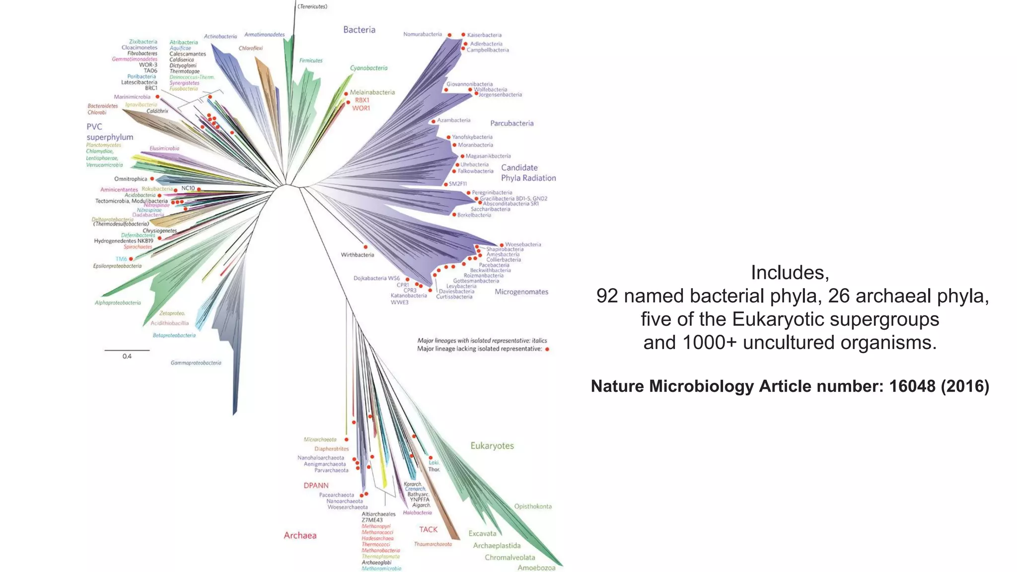 Synthetic Microbial Communities Microbial Consortia Engineering Pdf