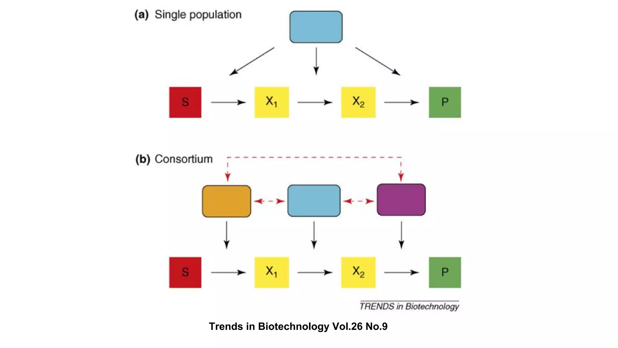Synthetic microbial communities : Microbial consortia engineering | PDF