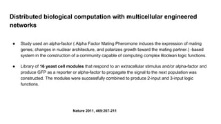 Synthetic microbial communities : Microbial consortia engineering | PDF