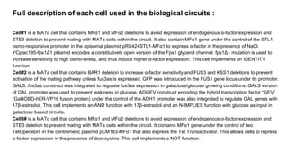 Synthetic microbial communities : Microbial consortia engineering | PDF