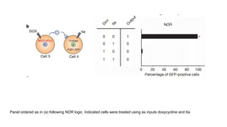 Synthetic microbial communities : Microbial consortia engineering | PDF