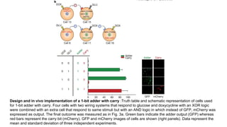 Synthetic microbial communities : Microbial consortia engineering | PDF