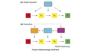 Synthetic microbial communities : Microbial consortia engineering | PDF