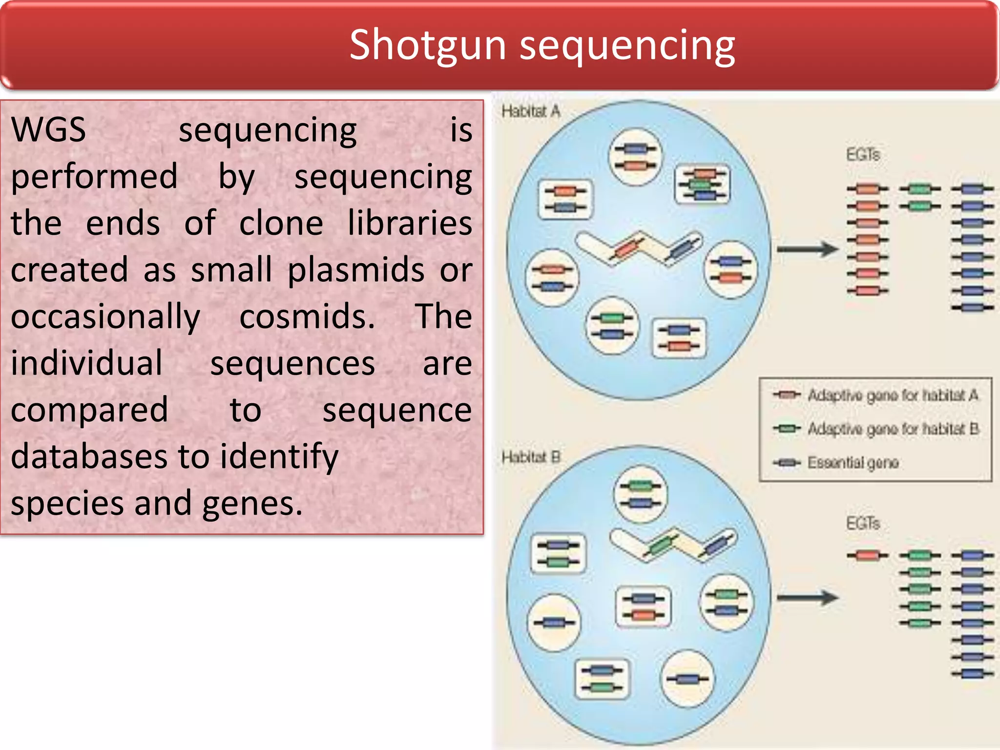 Metagenomics | PPTX