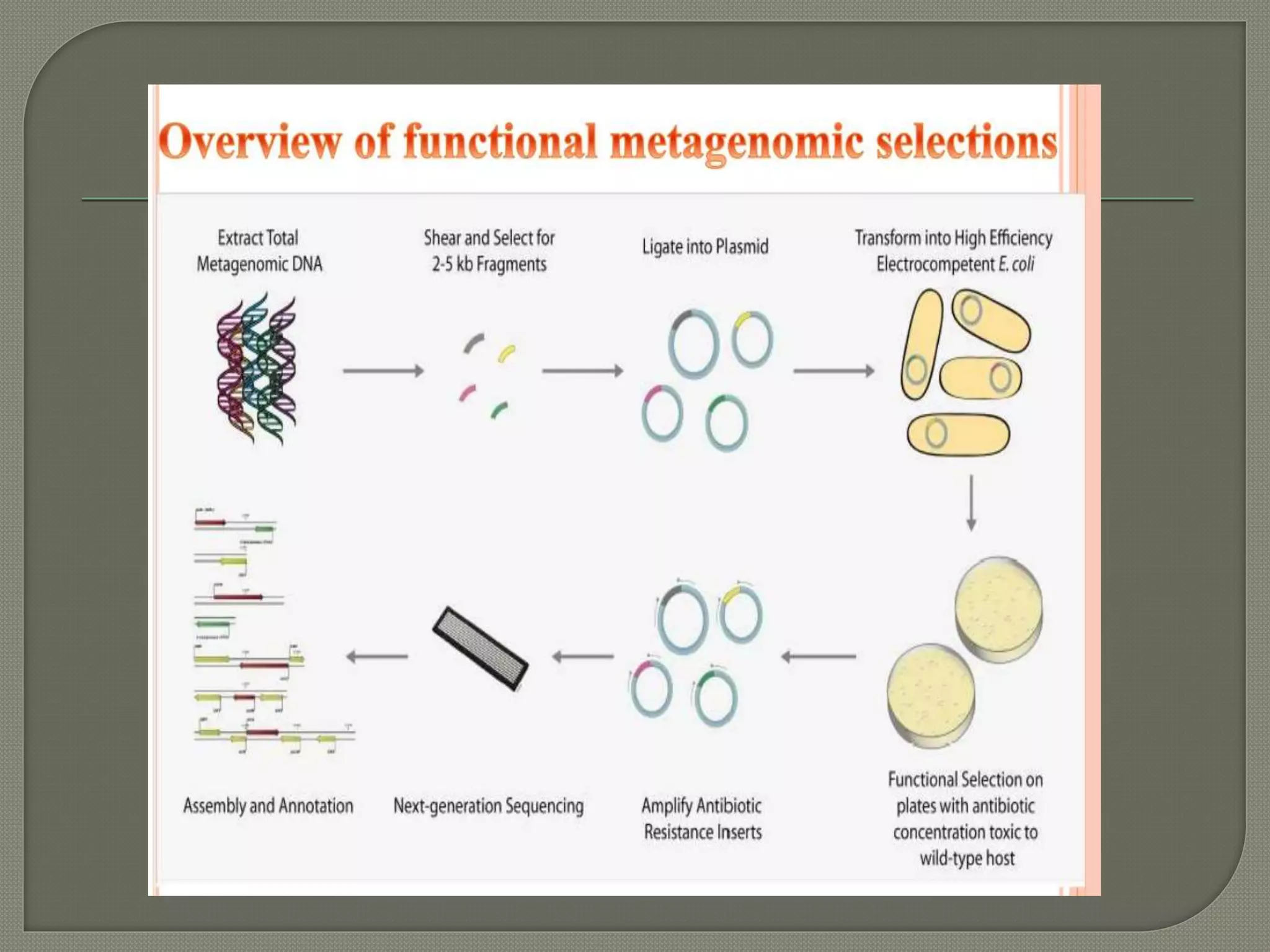 Metagenomics by microbiology dept. panjab university2018copy | PPT