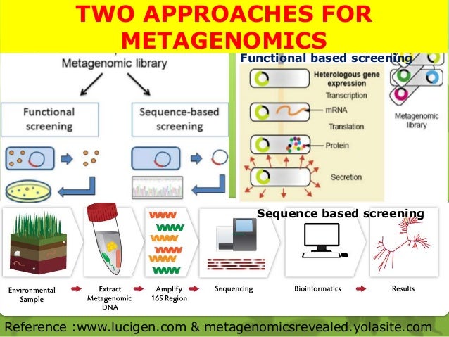 Metagenomics