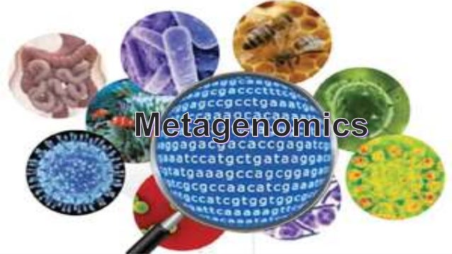 Metagenomics and it’s applications