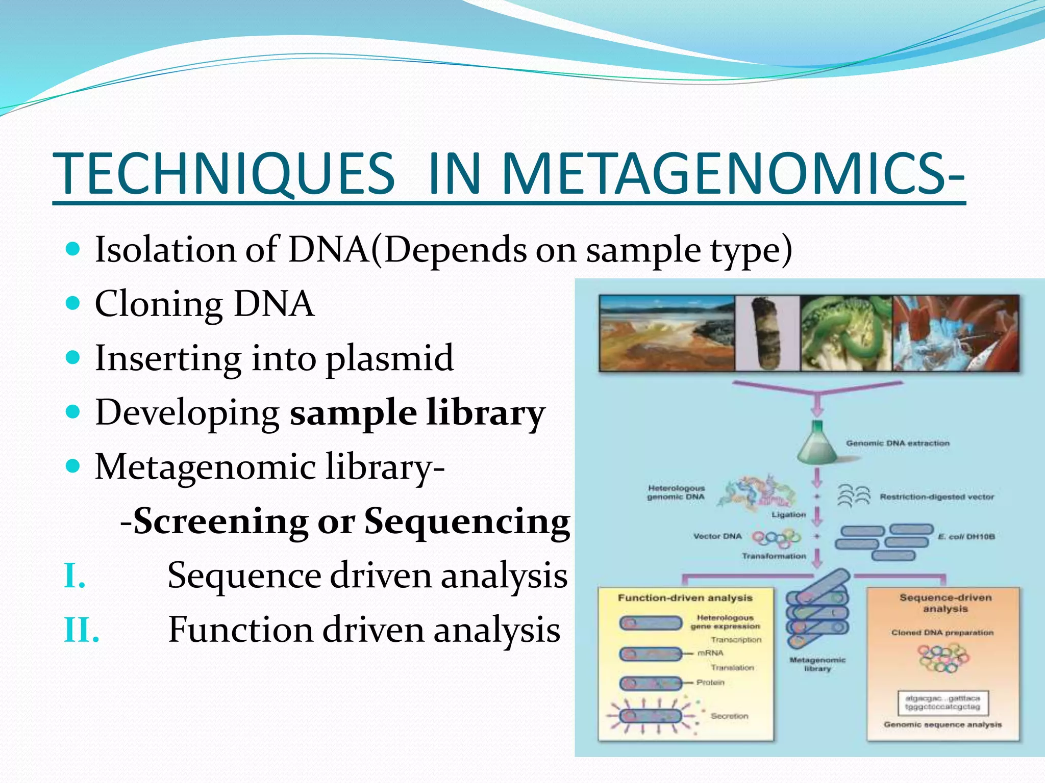 Metagenomics sk presentation 17.10.2017 | PPTX | Biological Sciences | Science