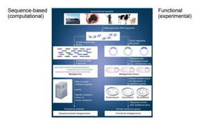 Meta genomics talks | PPT