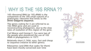 Meta genomics talks | PPT