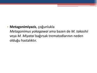 Metagonimiasis | PPSX
