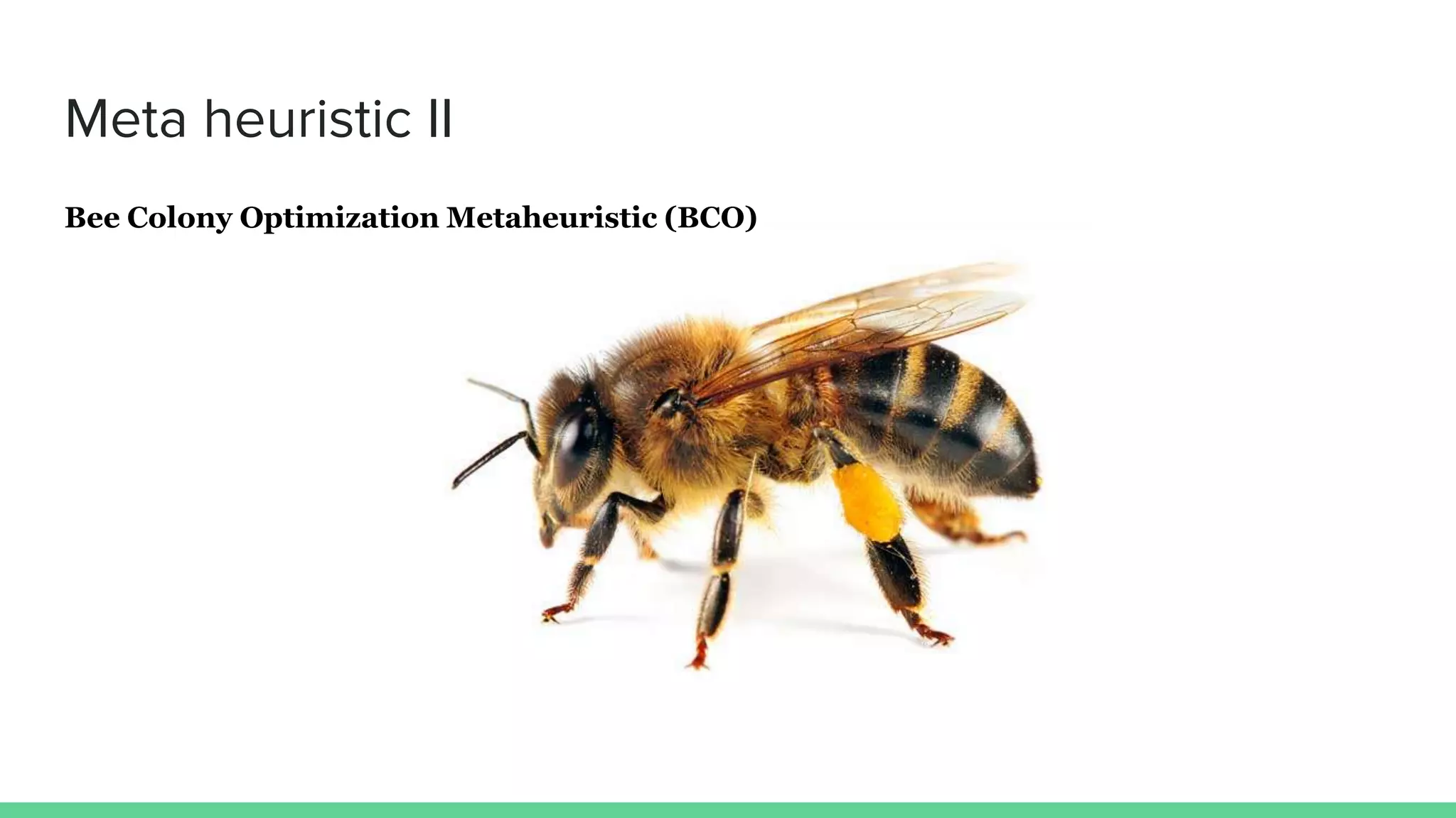 Metaheuristics for software testing | PPTX