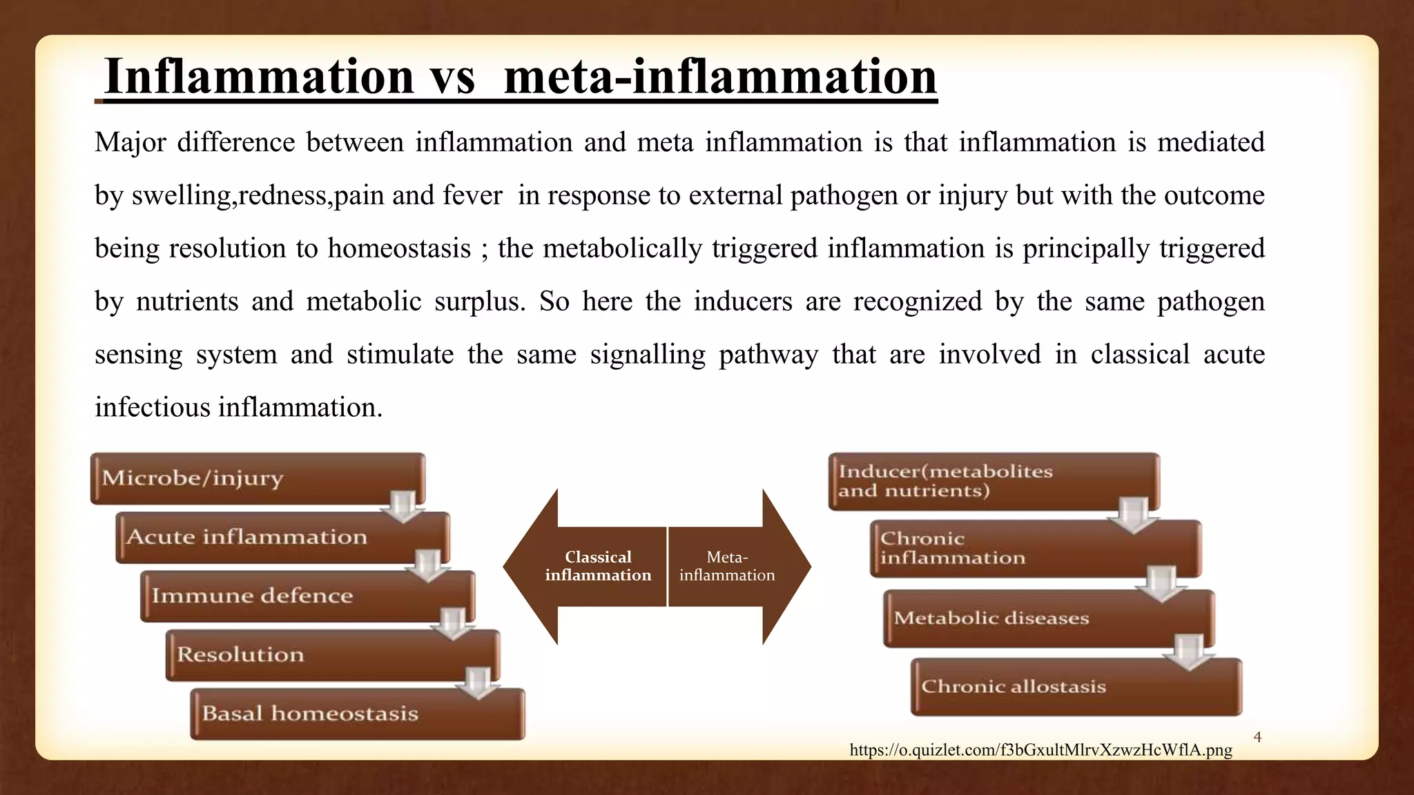 Obesity and metainflammation | PPTX