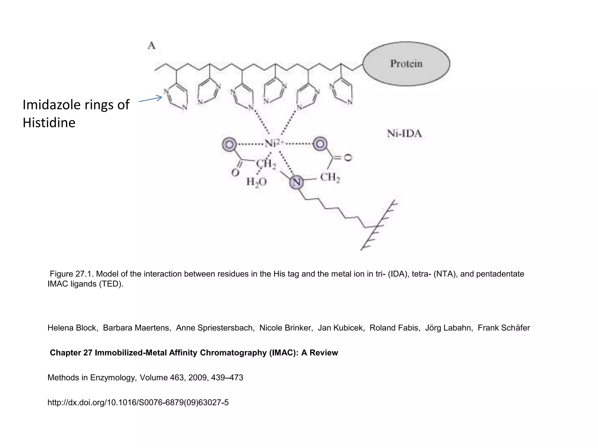 Immobilized Metal affinity-chromatography | PPTX