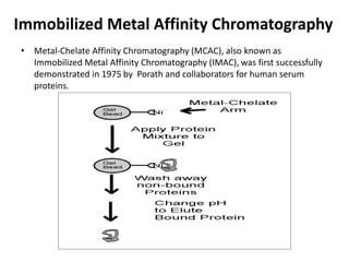 Immobilized Metal affinity-chromatography | PPTX
