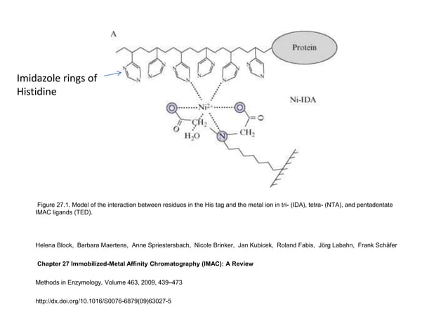 Immobilized Metal affinity-chromatography | PPTX