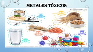 toxicología de los alimentos. metales_toxicos[1].pdf