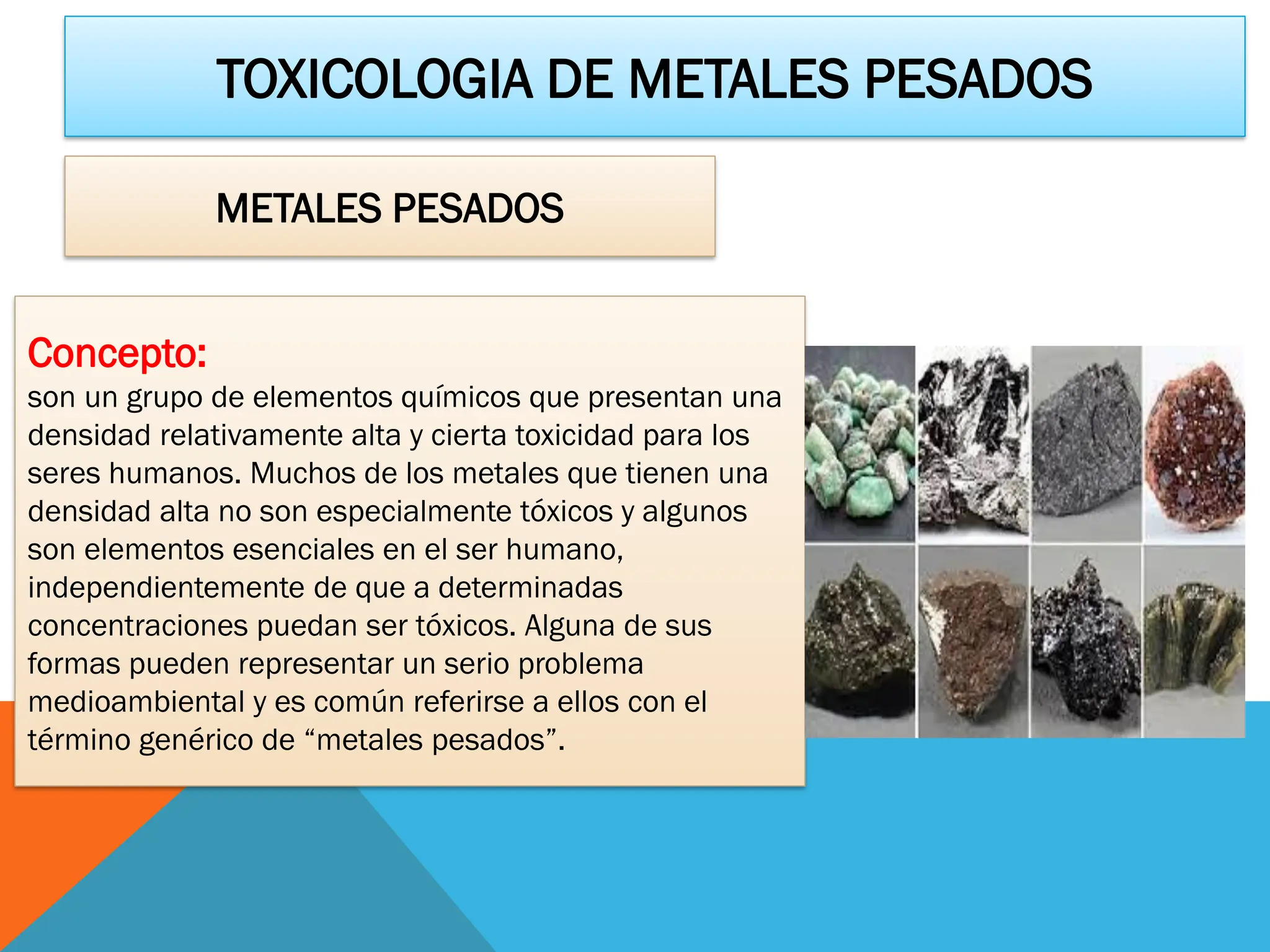 METALES TOXICOS (grupo).pdf