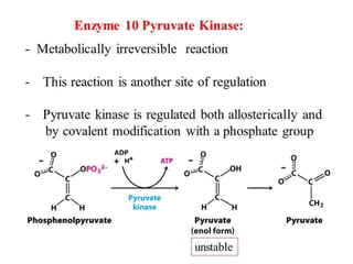 Metal ion catalysis pyruvate kinase (padhmasri) | PPT
