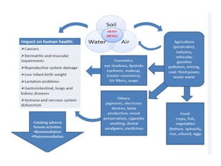 METAL ION TOXICITY in man and animals PPT -01.pptx