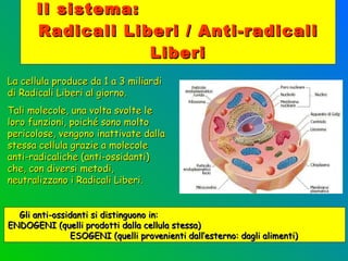 Metalli pesanti e radicali liberi | PPT