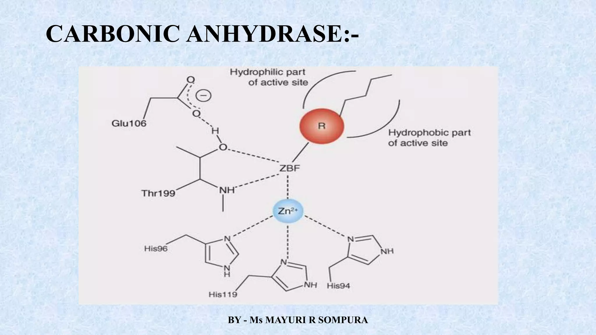 Metallo enzymes- B.Sc semester-6 | PDF