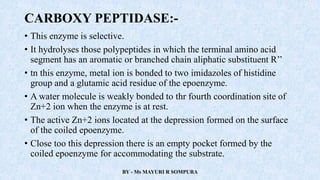 Metallo enzymes- B.Sc semester-6 | PDF