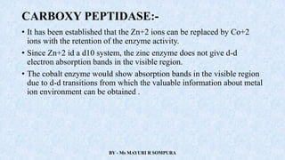 Metallo enzymes- B.Sc semester-6 | PDF