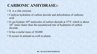 Metallo enzymes- B.Sc semester-6 | PDF